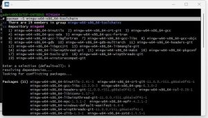 MSYS2中安装使用GCC的正确方法 - 其他 - It知识记录分享